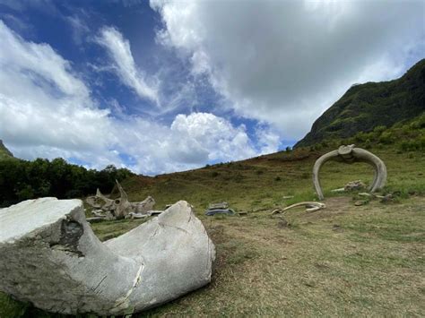 Kualoa Ranch Jurassic Adventure Tour In Oahu Hawaii Kkday