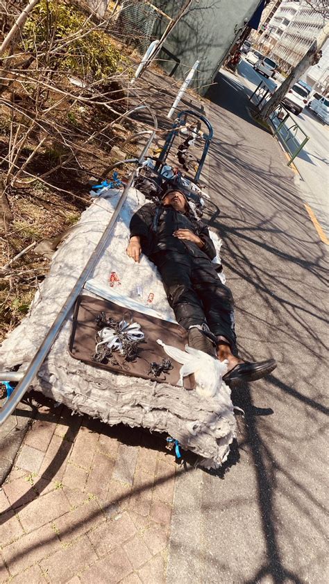 新鮮 on Twitter 気持ちよさそう