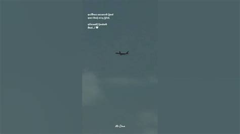 කවදා හරි දිනපං දුක් විදින අම්මලා තාත්තලාට සතුටු වෙම්න 🥺👨‍👩‍👧 Youtube