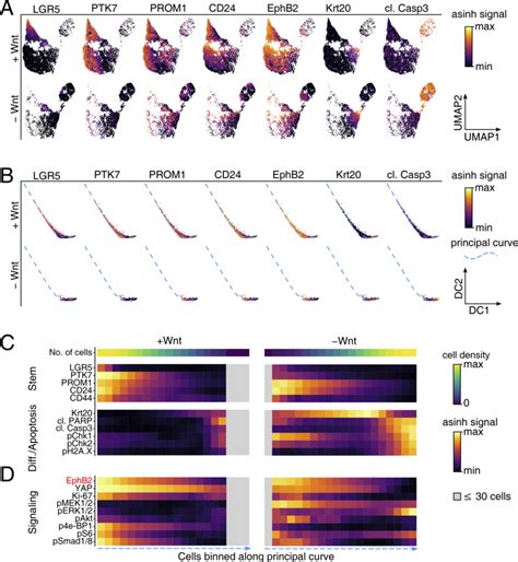 Biological Replicate Of Fig 2 A Umap Embedding Of Combined Media