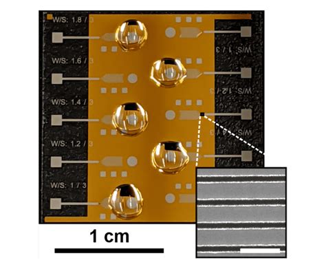 Microfluidic Microchip Developed For Diagnostics Clinical Lab Products