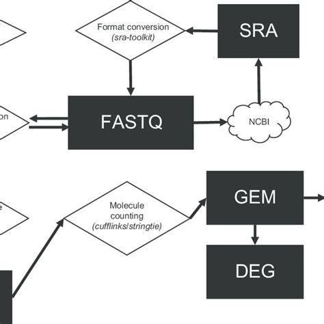 Dna Sequence File Lifecycle A Dna Sequence Starts Its Life As A Tiff