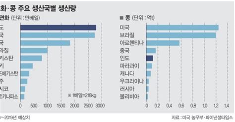 무역전쟁 틈새 비집는 印 대중 수출 늘려 농심 달랜다