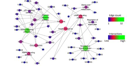 Network Interaction Between Protein Targets Pathways Download