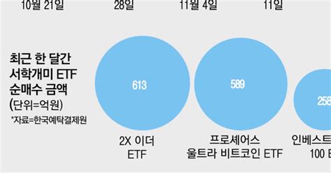 비트코인 못샀으면 여기로 와”가상화폐 Etf도 몸값 천정부지