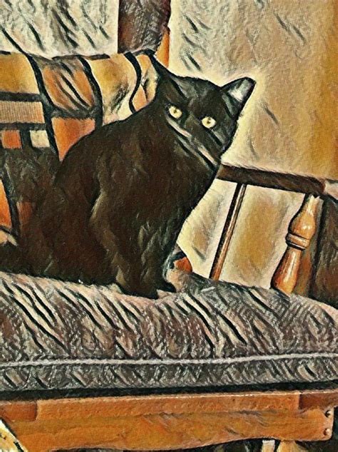 75 Of The 365 Day Photo Challenge Eclipse Lunapic Style Picasso Virily