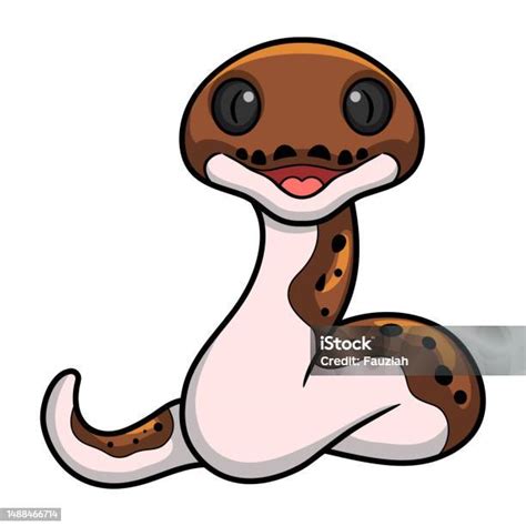 Kartun Python Reticulated Pied Lucu Ilustrasi Stok Unduh Gambar