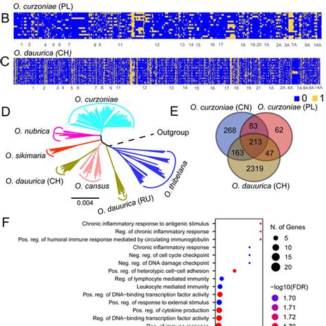 Genetic Structure And Hybridization Among Species A Genetic Structure Download Scientific