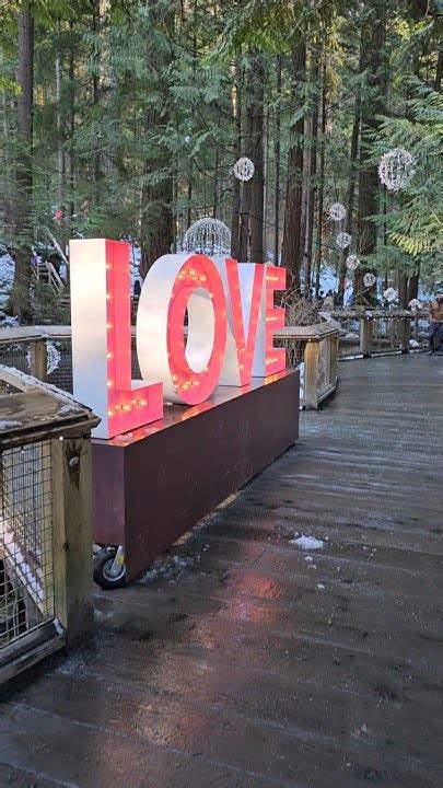 이 숲에서는 누구나 사랑 받을 것 같은 느낌 캐필라노 숲 자연인으로 살고 싶은 곳 캐나다 밴쿠버 캐필라노 혼자여행 여행 Youtube