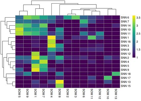 9 Cell Phenotyping Analysis Workflow For Imc Data