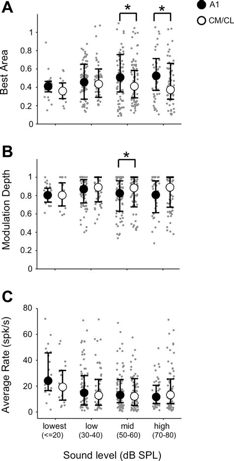 Level Dependence Of Spatial Acuity And Overall Excitability Of Neurons