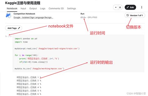Kaggle的注册与云端运行技巧 kaggle怎样在线运行 CSDN博客