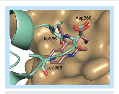 Table 1 From Structure Based Design Of Small Molecule Protein Protein Interaction Modulators