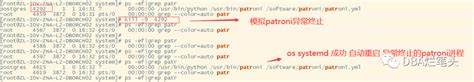 Postgresql Patroniexporter 监控 Patroni高可用工具postgres 监控工具 Csdn博客