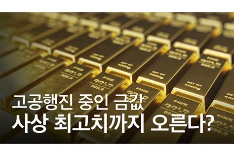 고공행진 중인 금값 사상 최고치까지 오른다