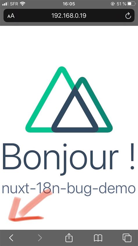 detectbrowserlanguage true alwaysredirect true with nuxt generate