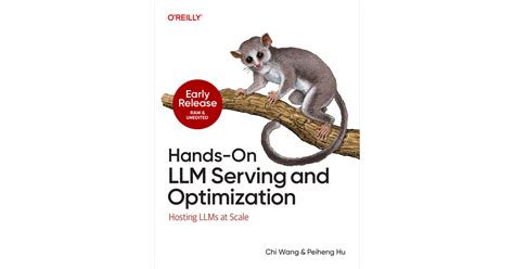 4 Challenges When Serving Llms Hands On Llm Serving And Optimization [book]