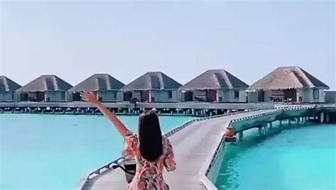 Maldives Porn Videos Xhamster