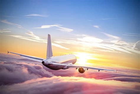 Diferencia Entre Volar Y Levitar