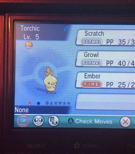 Shiny Torchic Pokemon X And Y
