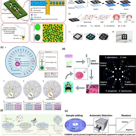 Matrix Depicting Colorimetric Fungi Detection A Graphic Depicting