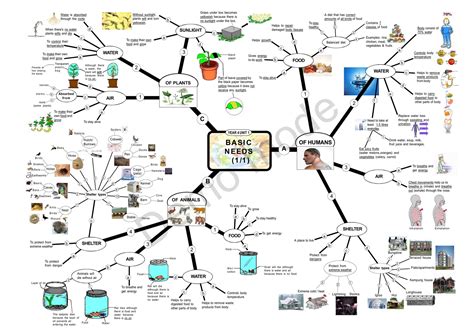 Welcomes To Pei Inns Blog Mind Map Basic Needs