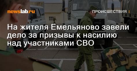 На жителя Емельяново завели дело за призывы к насилию над участниками СВО Происшествия