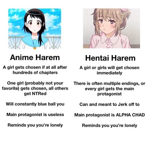 Anime Harem Hentai Harem A Girl Gets Chosen If At All After A Girl Or