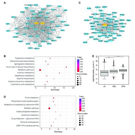 Ppi Network Of The Two Modules A Ppi Network Was Analyzed Using