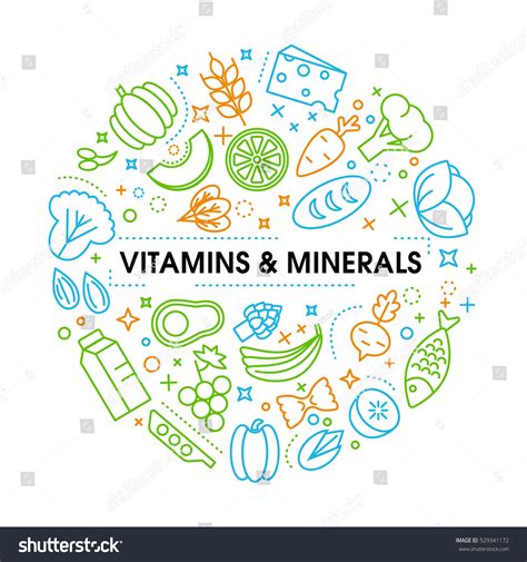 Healty Food Background Representing Stock Vector Royalty Free 529341172 Shutterstock