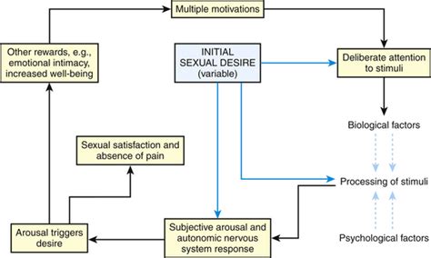 Medical Human Sexuality Musculoskeletal Key