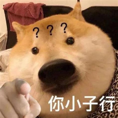 你小子最好有事啥意思 你小子表情包大全 娱乐 聊八卦娱乐网