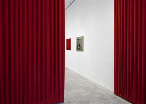 Exhibition Taryn Simon Gagosian Daily Art Fair