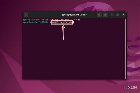 How To Set Environment Variables In Ubuntu