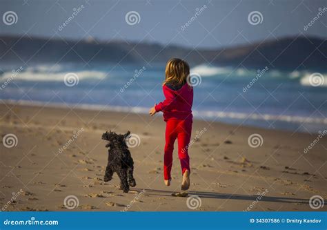 Девушка с собакой на пляже стоковое фото изображение насчитывающей любимчик 34307586