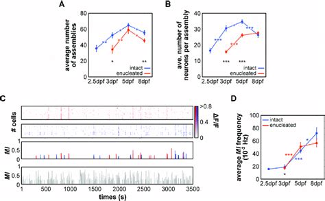 Figure S2 Characterization Of The Neuronal Assemblies Related To Download Scientific Diagram