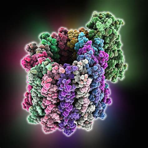 Atp Synthase Molecule Photograph By Science Photo Library Fine Art
