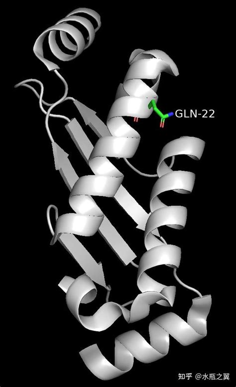 PyMOL软件入门学习笔记 知乎