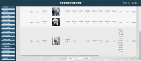 Springboot毕设大学生创新创业项目管理程序论文 Csdn博客