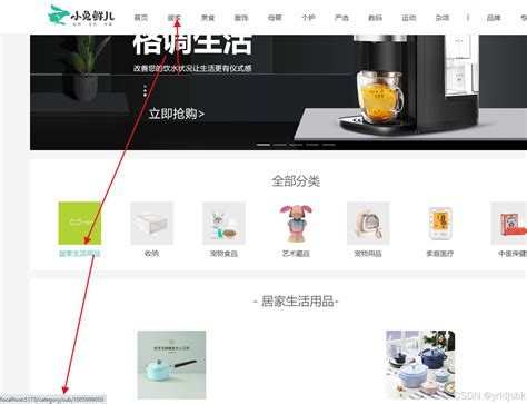vue3前端开发 小兔鲜项目 一些额外提醒的内容 vue3小兔鲜新版 csdn博客