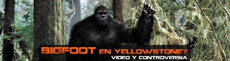 Video ¿bigfoot En Yellowstone Con Javier Resines ~ Cienciaymisterios ~