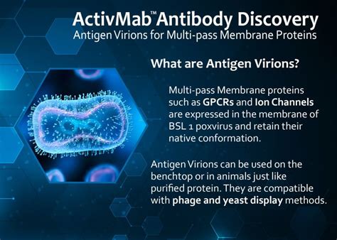 Vaccinex On Linkedin Antigen Virions Simplify The Process For