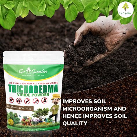 Trichoderma Viridi Fungicide For Plants Bio Fungicide Prevents Fungal
