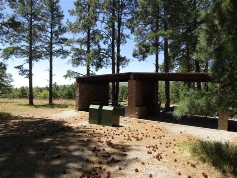 Ponderosa Group Campground Nm Bandelier National Monument