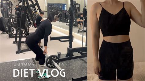 다이어트 브이로그 만족스러움 • 식단 운동 기록 • 눈바디 Youtube