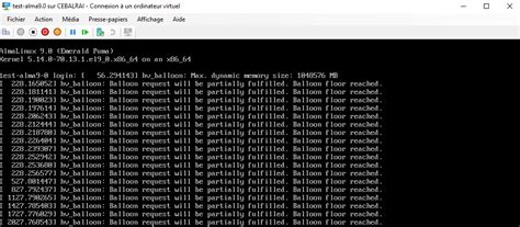 Console Spammed By Balloon Ralmalinux
