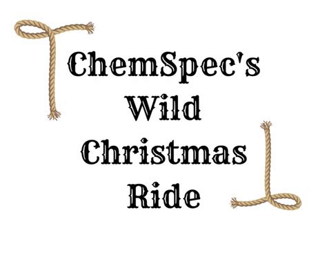 2022 Sure Has Been A Wild Ride Merry Christmas And Happy Holidays From Chemspec Ltd
