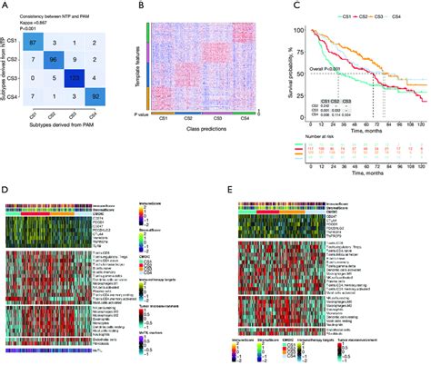 Validation Of Classification To Reproduce Four Integrative Consensus Download Scientific