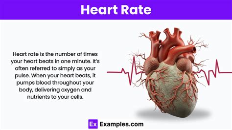 Heart Rate Meaning Normal And High Rate How To Check And More