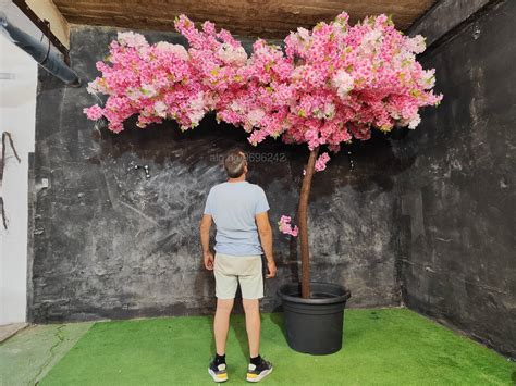 Изкуствени дървета Цветя декоративни растения Велико Търново 👉ПОРЪЧАЙ СЕГА Изклю